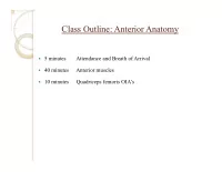 [PPT] - Class Outline: Posterior Anatomy 5 minutes Breath of Arrival ...