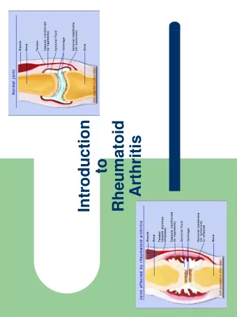 [PPT] - A Primer on Brain Development or/and Why First 5 is Very ...