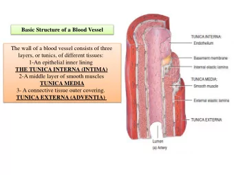 [PPT] - Structure and Function of Blood Vessels Peter Takizawa ...